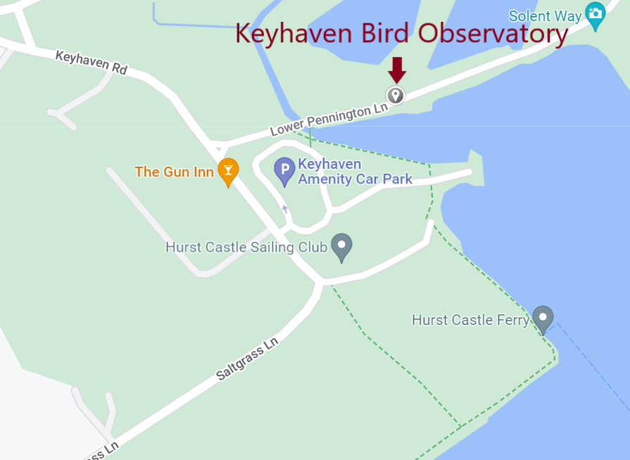 Keyhaven Bird Observatory - Milford Conservation Volunteers